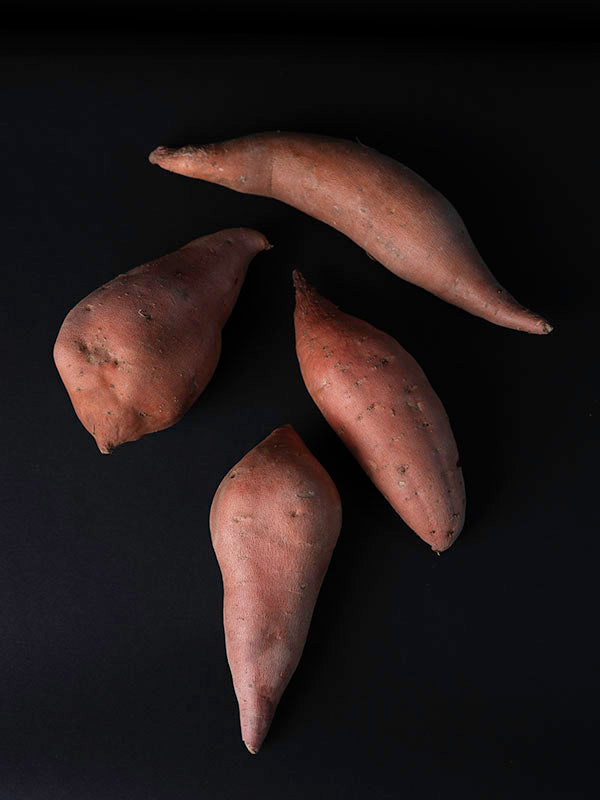 Shop Organic Produce, Pantry & Goods | Tenderwild Farm in Rockport, ME