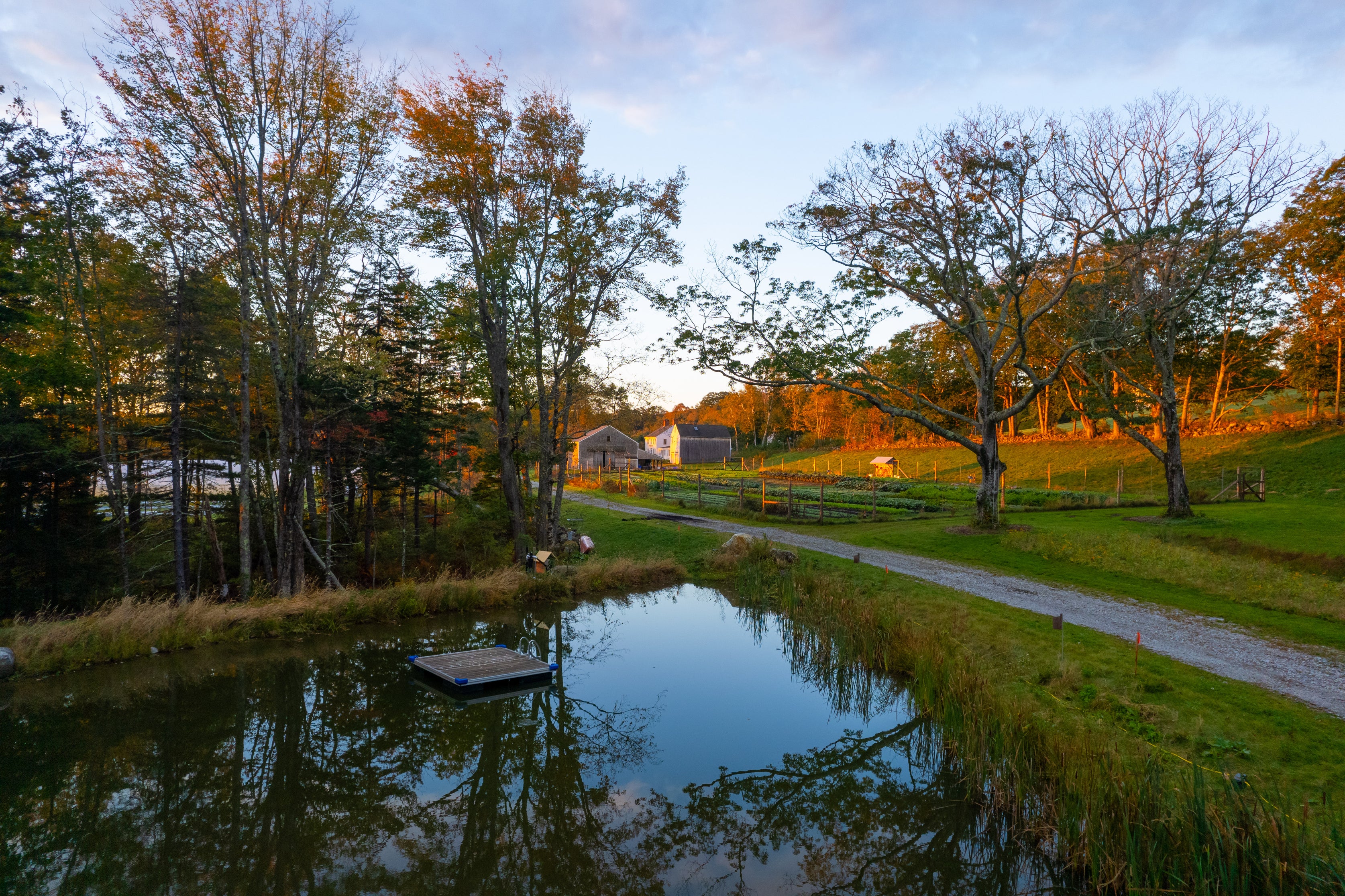 Tenderwild Farm | Organic Farm Store & Fresh Produce in Midcoast Maine